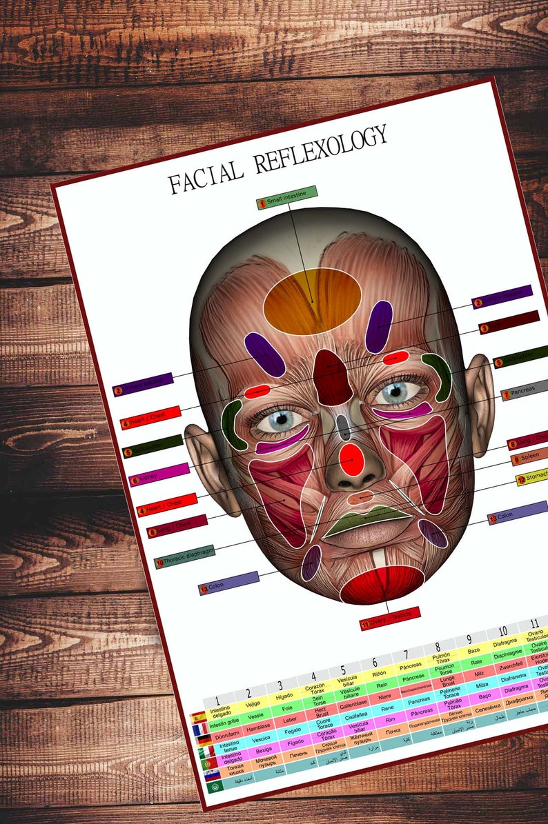 REFLEXOLOGÍA FACIAL - Etsy