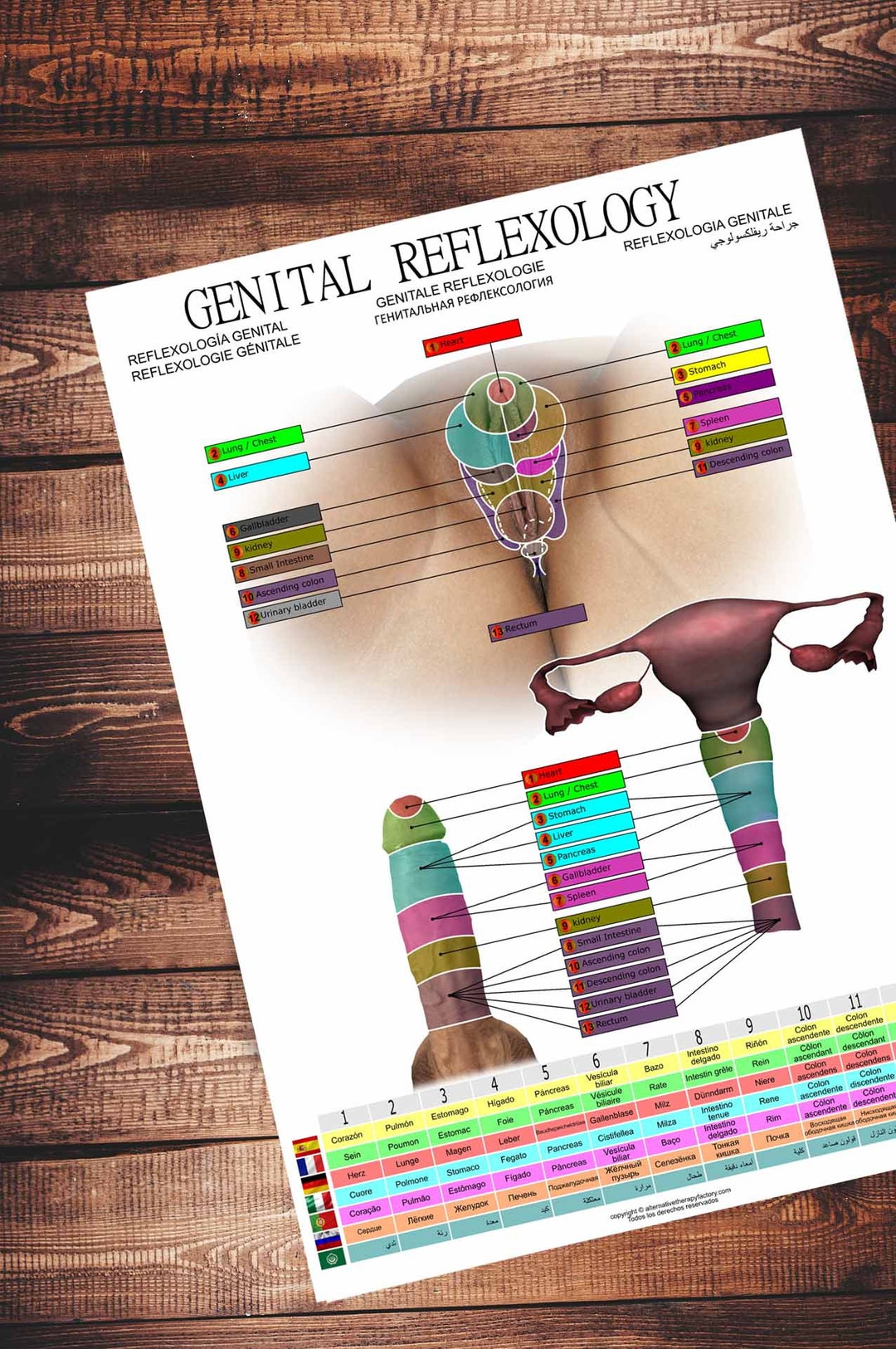 Poster Genital Reflexology - Etsy