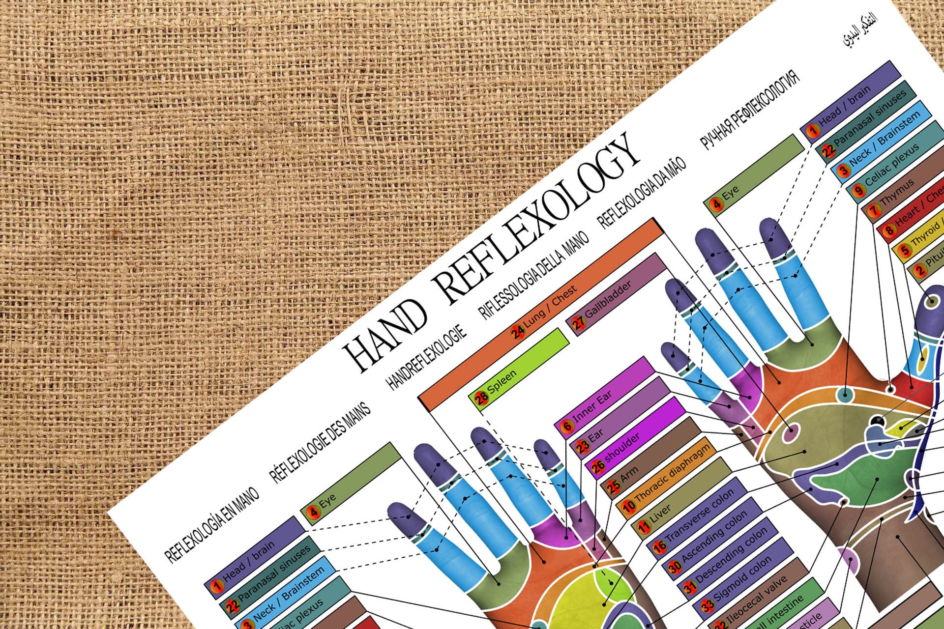 Hand Reflexology, Hand Reflex Therapy, Hand Acupressure - Etsy