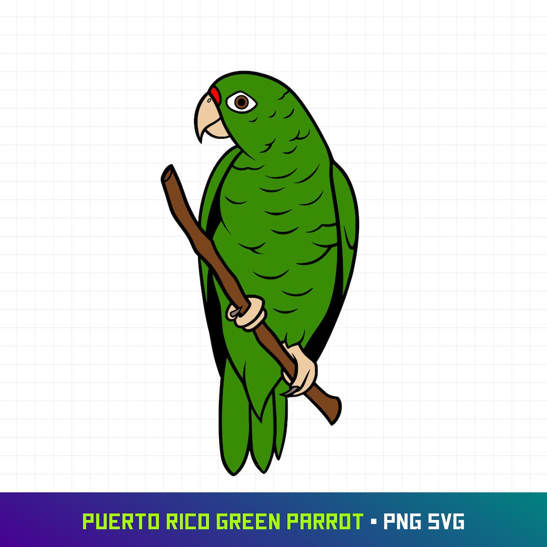 Puerto Rico Green Parrot Svg, Cotorra Puertorriqueña Svg, Puerto Rico Svg, Puerto Rico Clipart ...