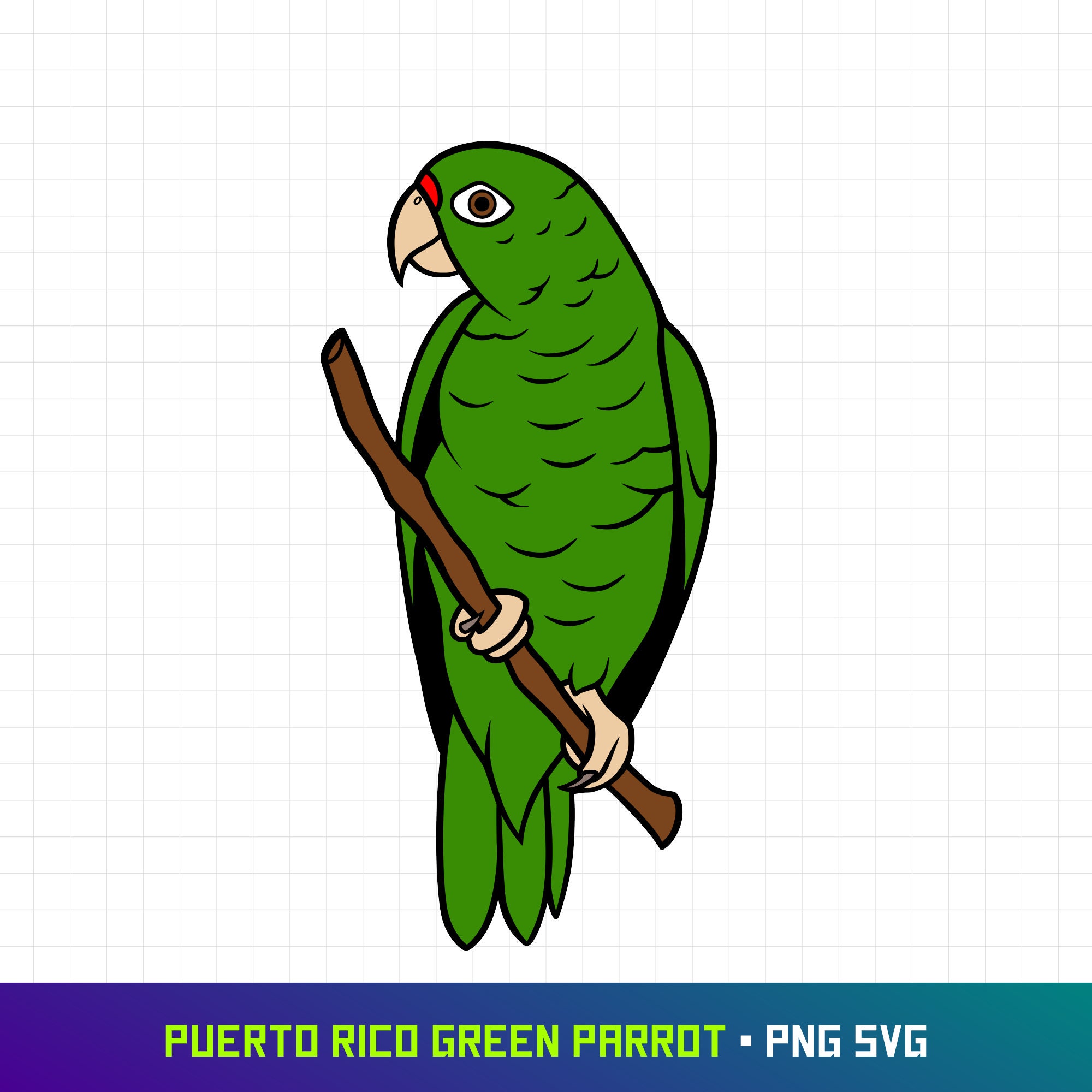 Cotorra Puerto Rico