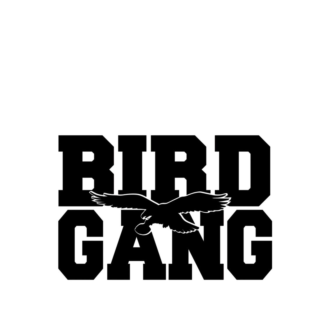Bird Gang Vinyl Decal - Etsy
