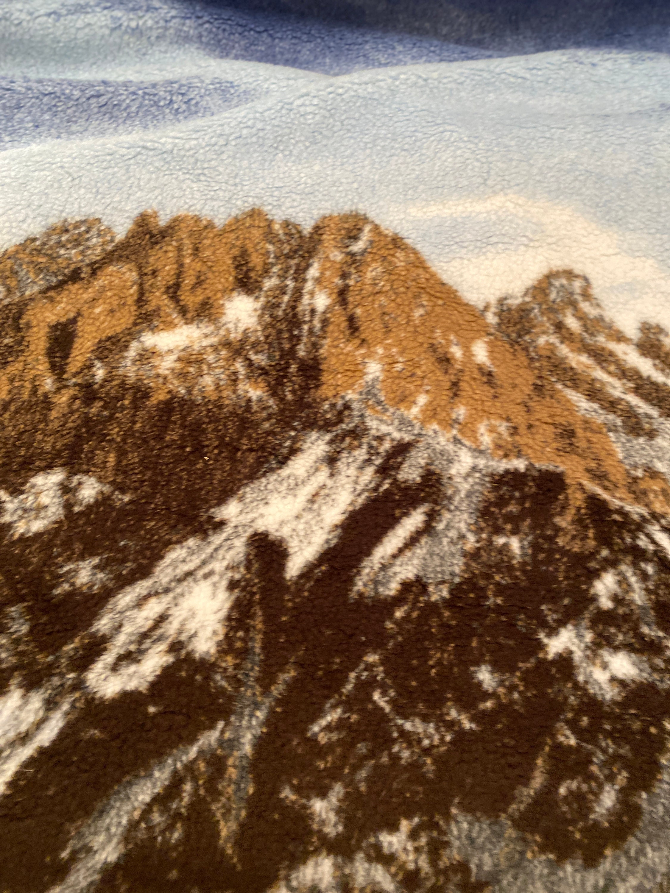 Teddy Coat Fabric Panel, Italian Scene Print, 63x43 Inches - Etsy