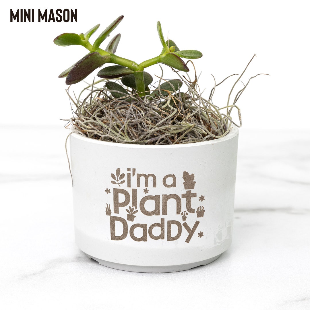 Father's Day Gift: Laser Engraved Pot With Succulent (plant) I'm a ...