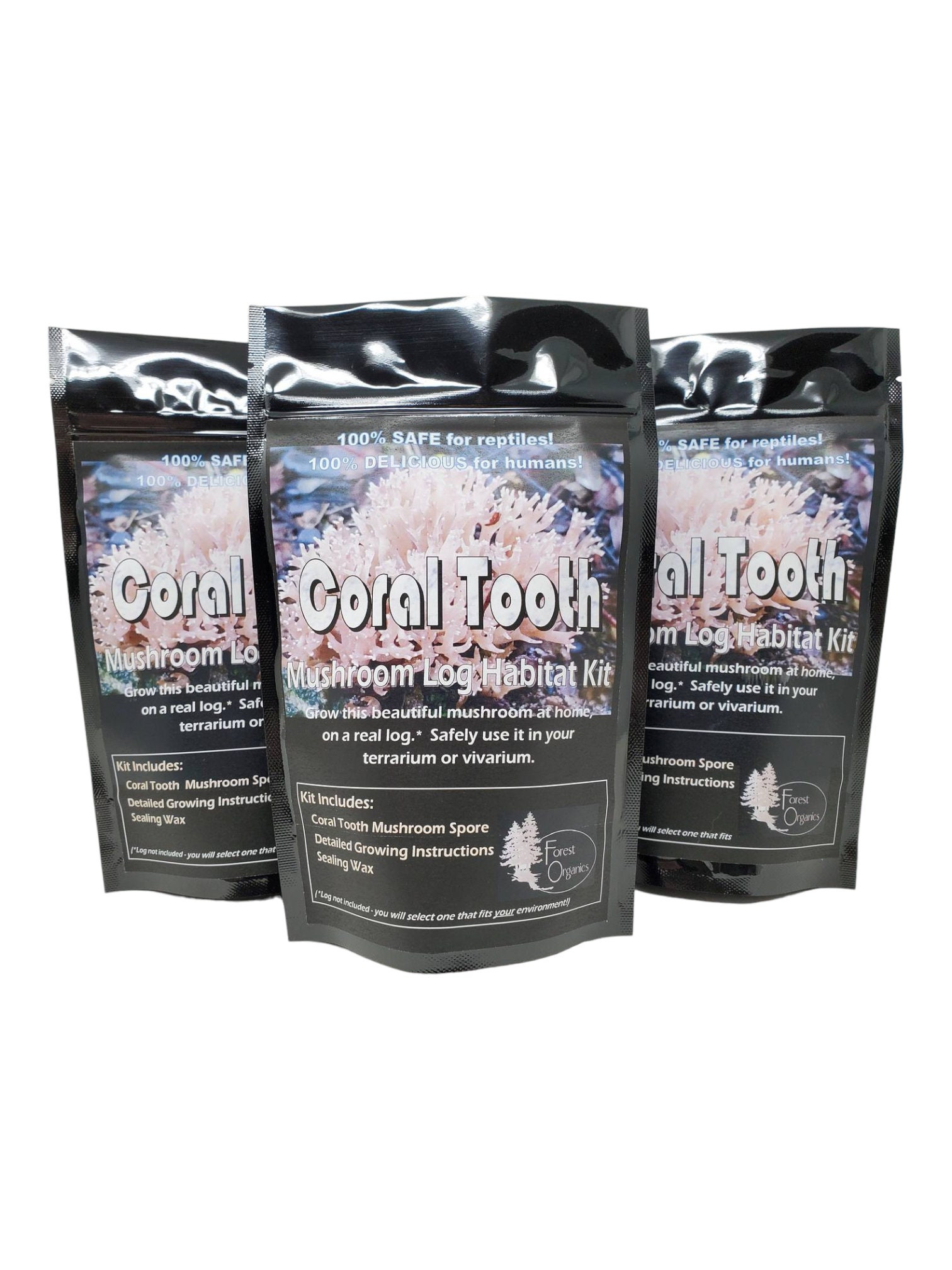 Coral Tooth Mushroom Log Habitat Kit for Terrariums - Etsy