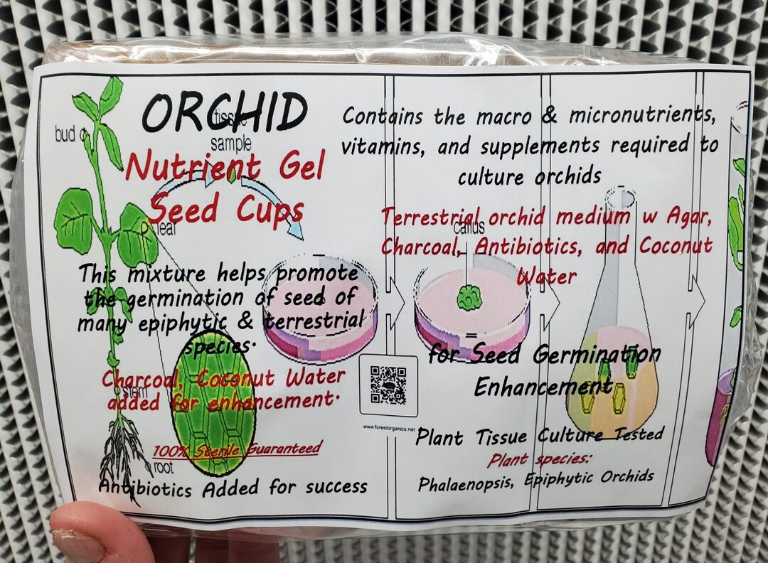 Orchid Culture Gel Cups: Pre-sterilized Growing Medium for Cloning ...