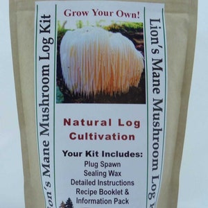 Lion's Mane Mushroom Growing Log Kit Grows for Years - Etsy