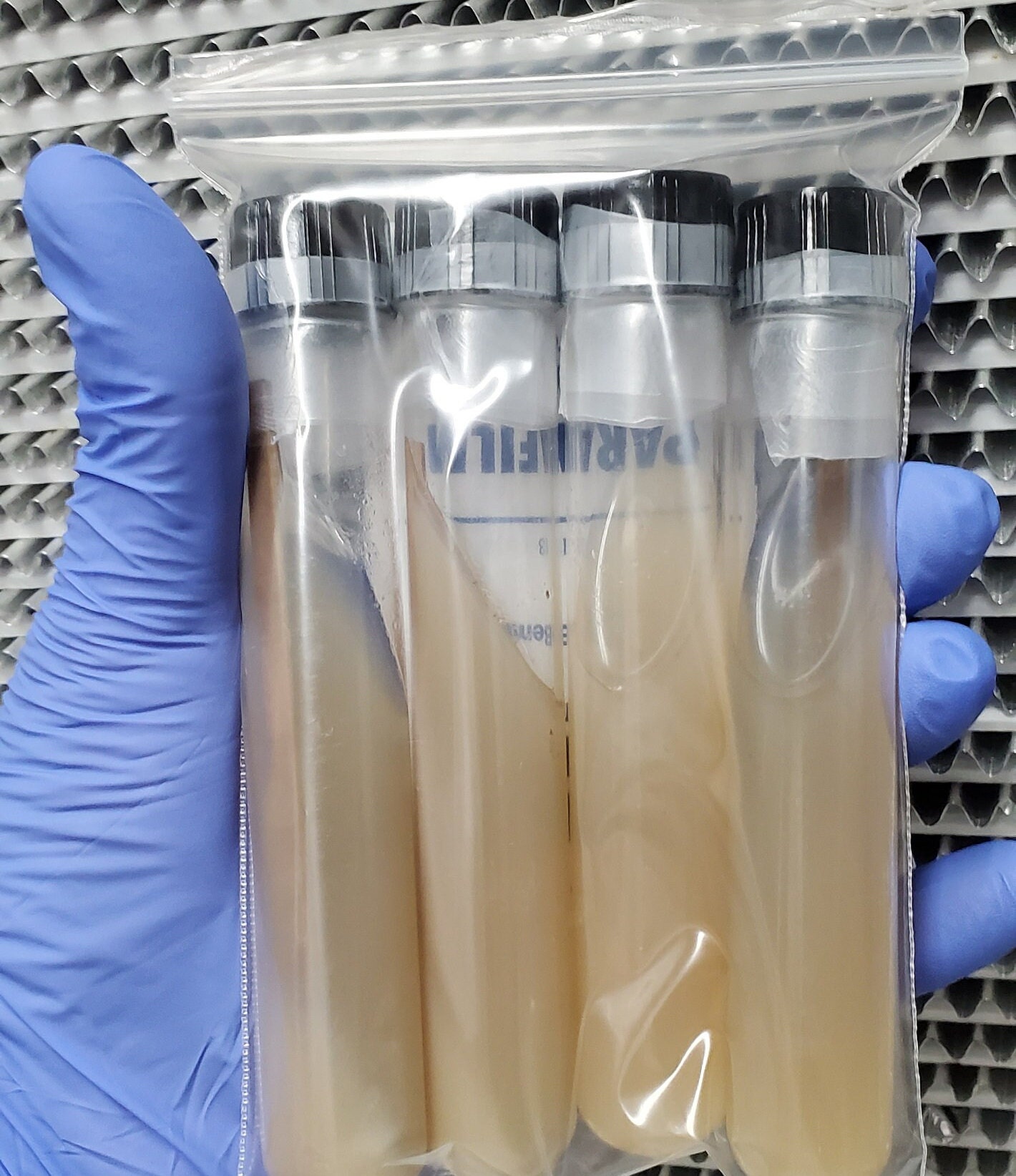 Pre-poured MYA Malt Yeast Agar Commercial Test Tube Slants for Growing ...