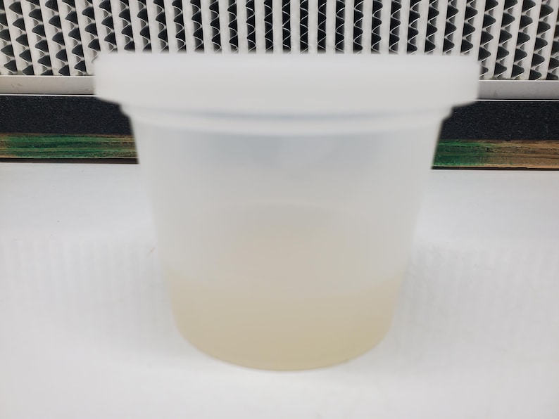Plant Tissue Culture Gel Cups – Pre-sterilized Ready-to-use Media for ...
