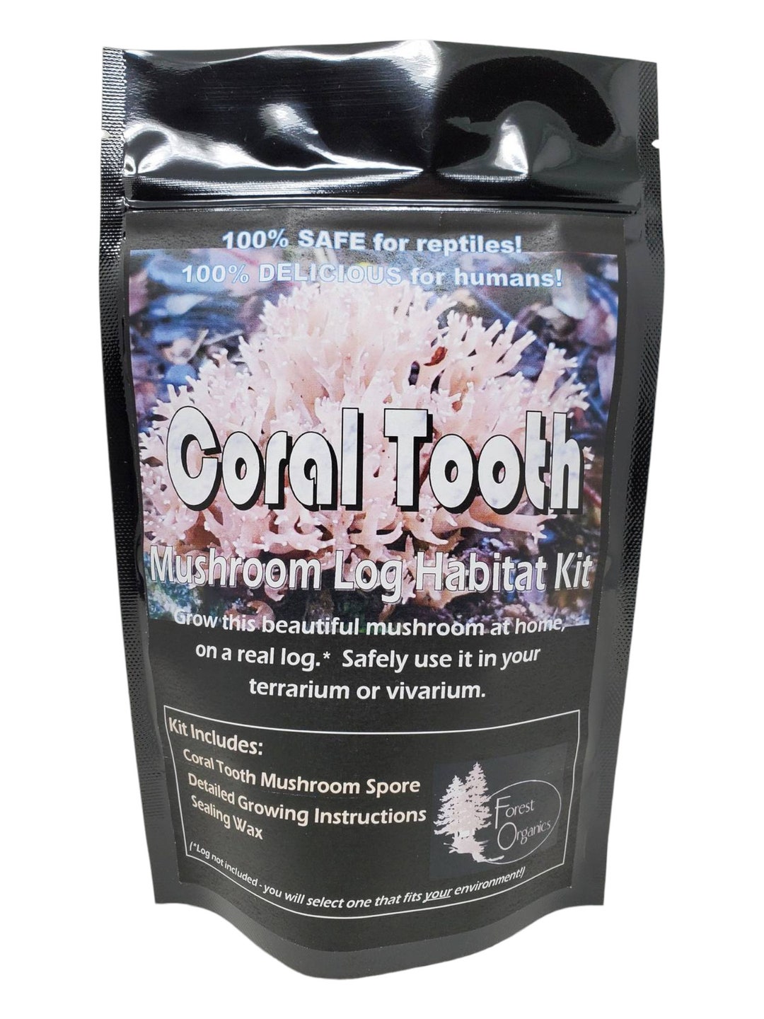 Coral Tooth Mushroom Log Habitat Kit for Terrariums - Etsy