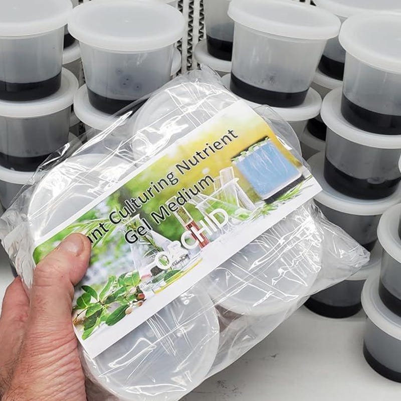 Flask Outdoor & Gardening - Etsy