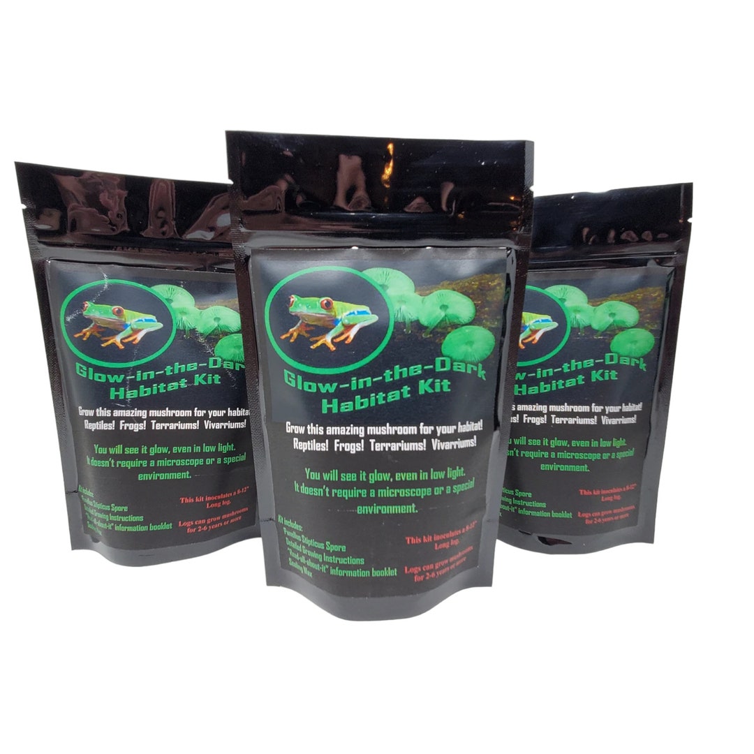 Glow in the Dark Mushroom panellus Stipticus Growing Habitat Kit - Etsy