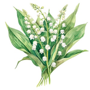 Birth Month Flowers Watercolor Clipart, Floral PNG Bundle, DIY Birth ...