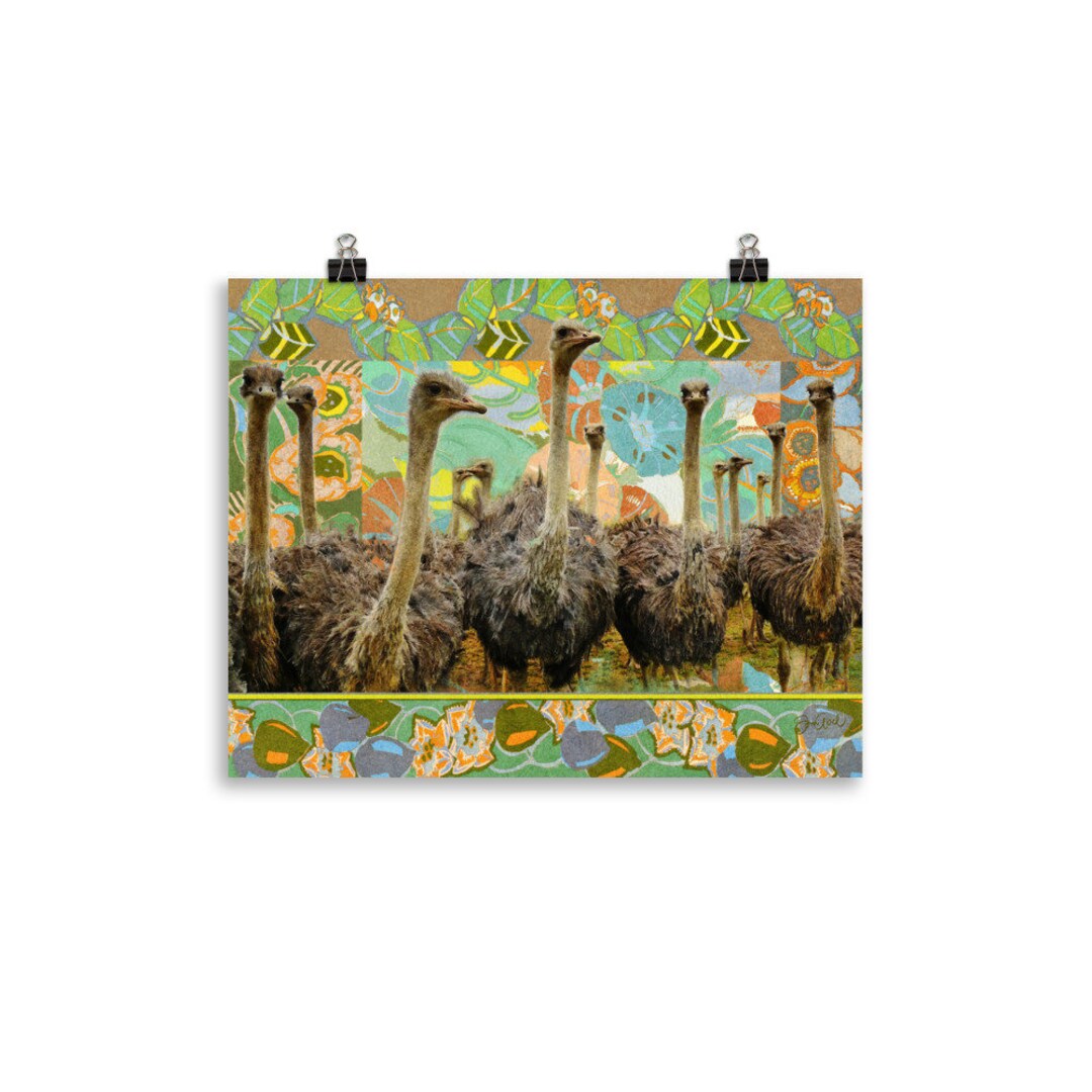 Emu Parade - Etsy