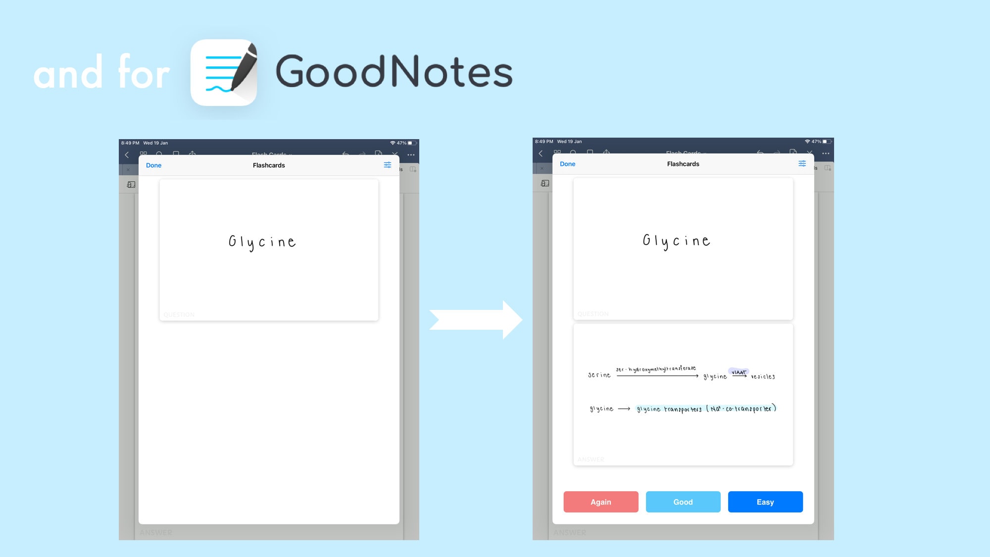 Neuroscience Flash Cards - Printable - Etsy