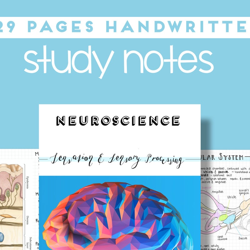 Neuroscience - Etsy
