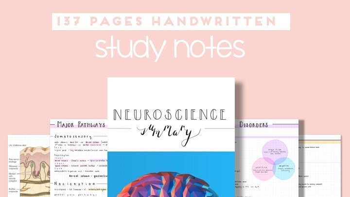 Handwritten Neuroscience Summary - Complete Bundle - Etsy