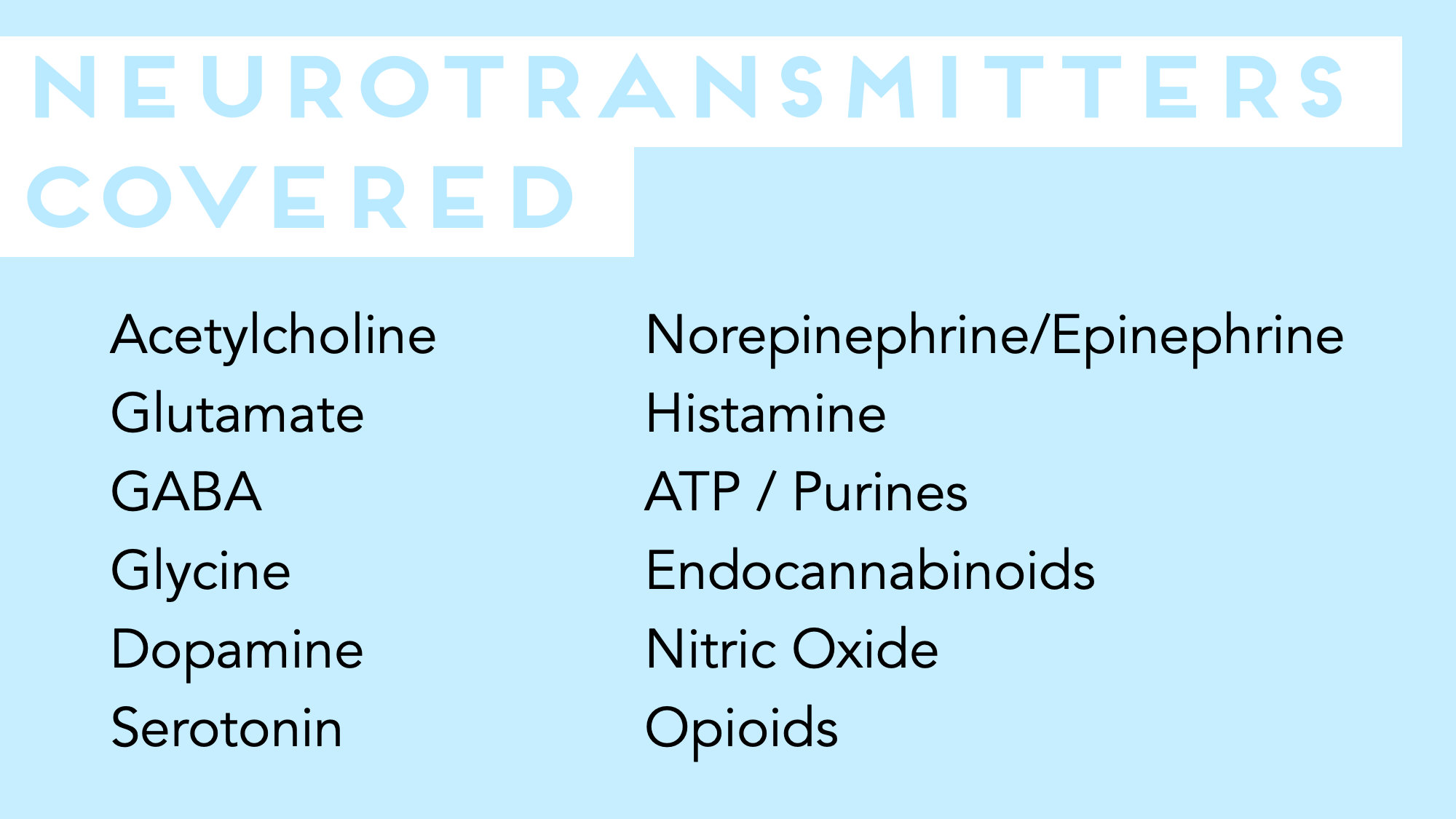 Neuroscience Flash Cards - Printable - Etsy