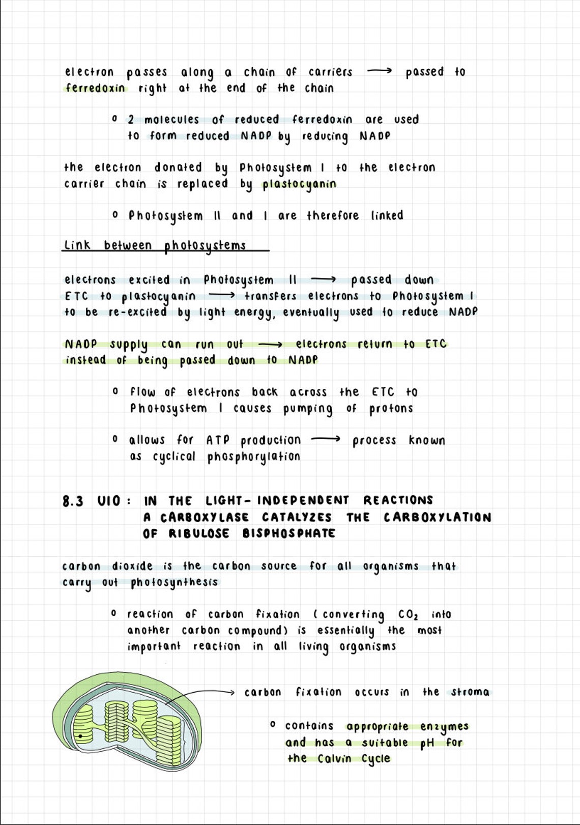 IB HL Bio Unit 8 Notes - Achieved a 7/7 Using These!!! | Notes ...