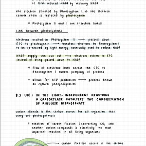 IB HL Bio Unit 8 Notes - Achieved a 7/7 Using These!!! | Notes ...