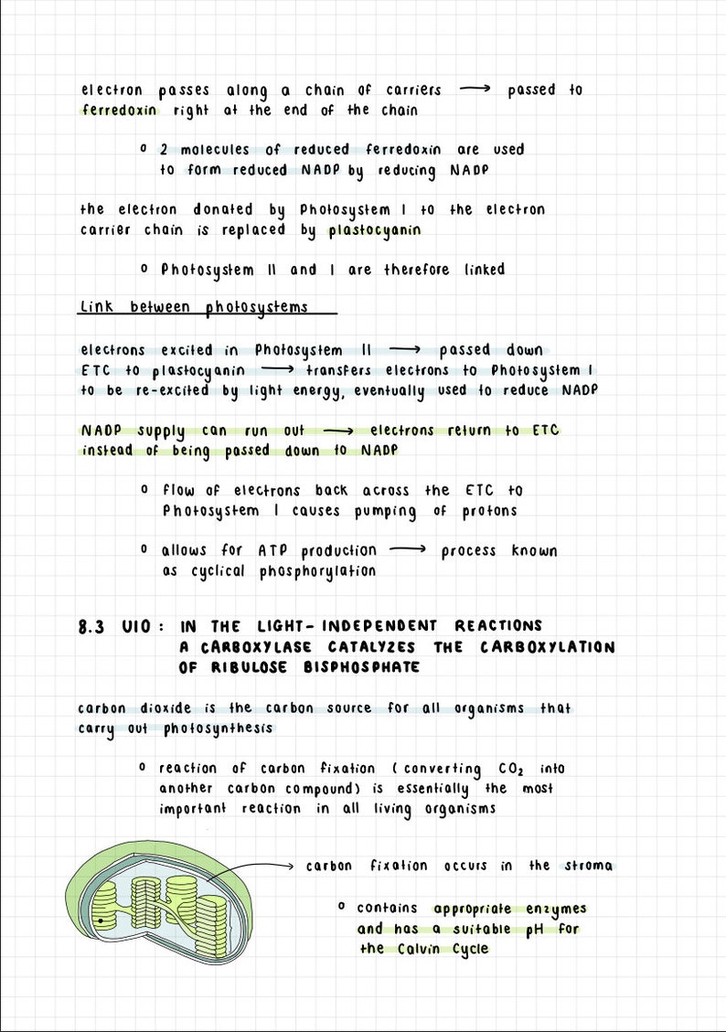 IB HL Bio Unit 8 Notes - Achieved a 7/7 Using These!!! | Notes ...