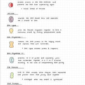 IB HL Bio Unit 8 Notes - Achieved a 7/7 Using These!!! | Notes ...