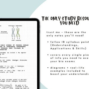 IB HL Bio Unit 8 Notes - Achieved a 7/7 Using These!!! | Notes ...