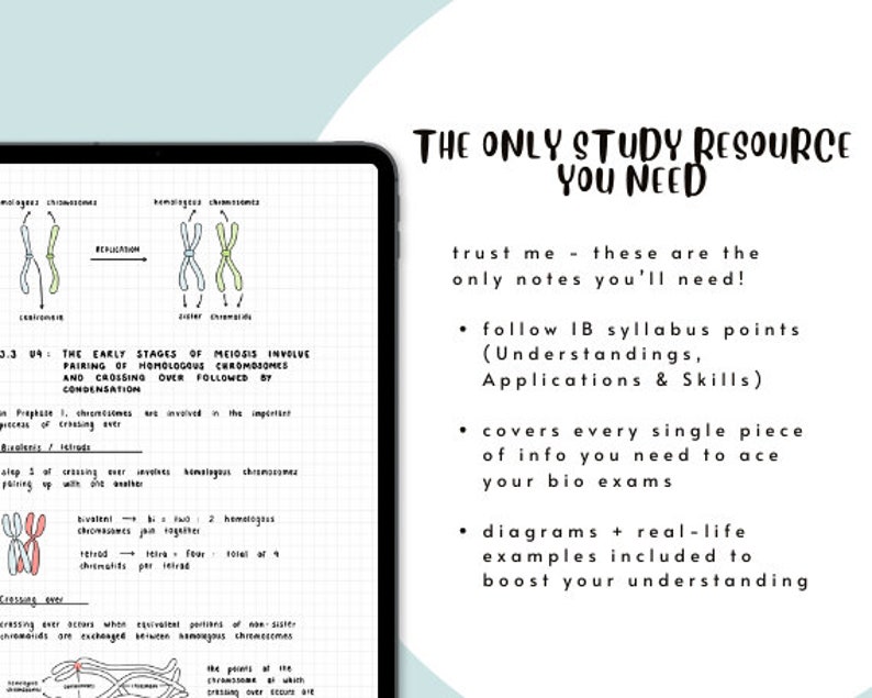 IB HL Bio Unit 8 Notes - Achieved a 7/7 Using These!!! | Notes ...