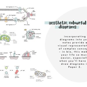 IB HL Bio Unit 8 Notes - Achieved a 7/7 Using These!!! | Notes ...