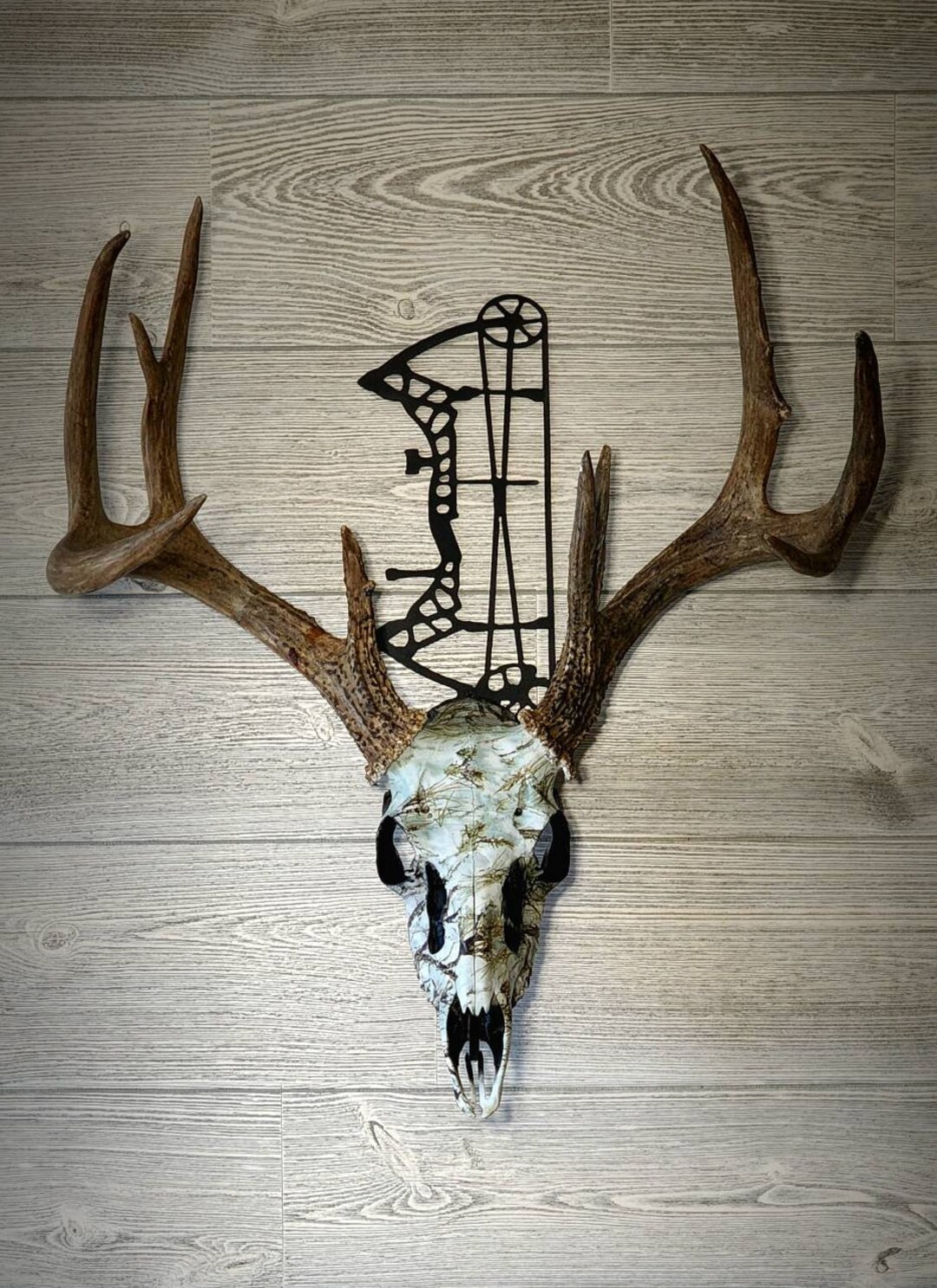 European Skull Mount Plaque - Etsy