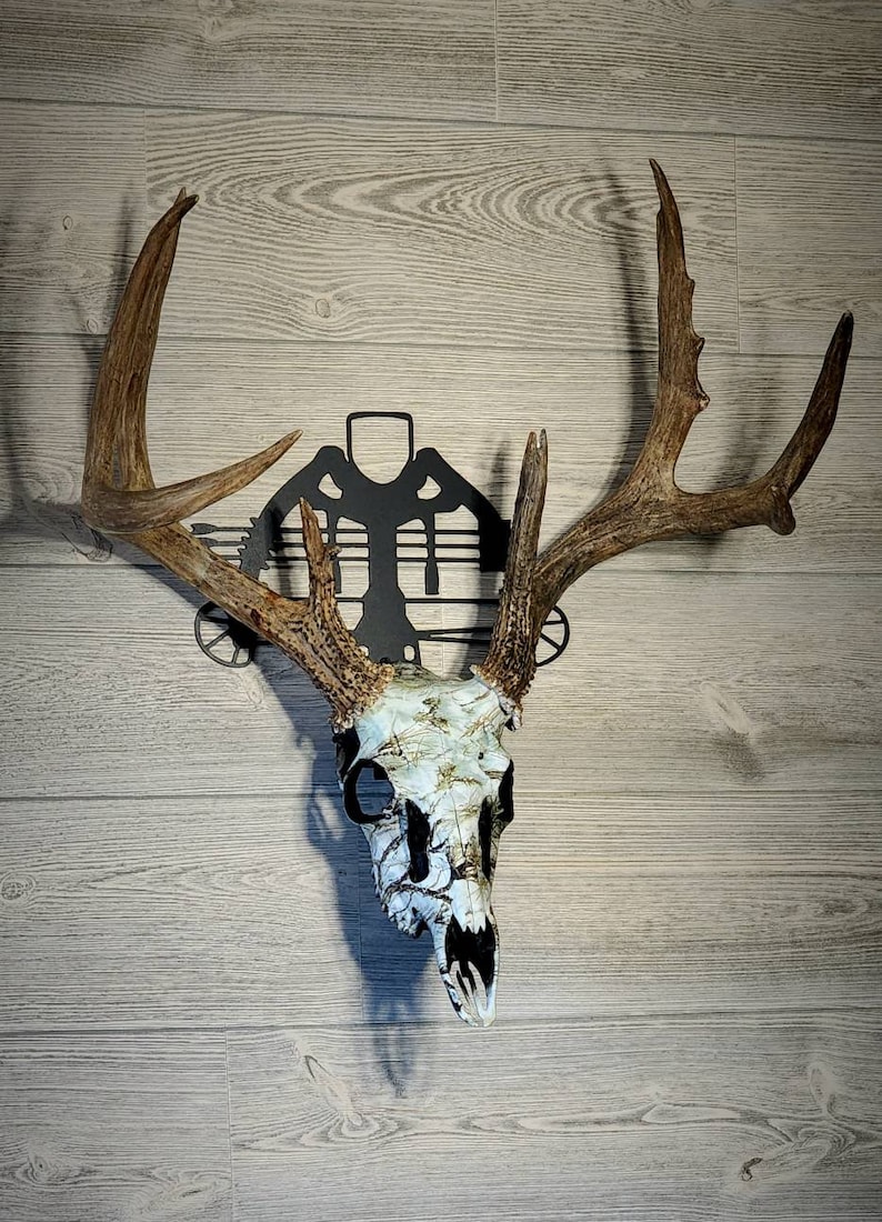 European Skull Mount Hanger - Etsy