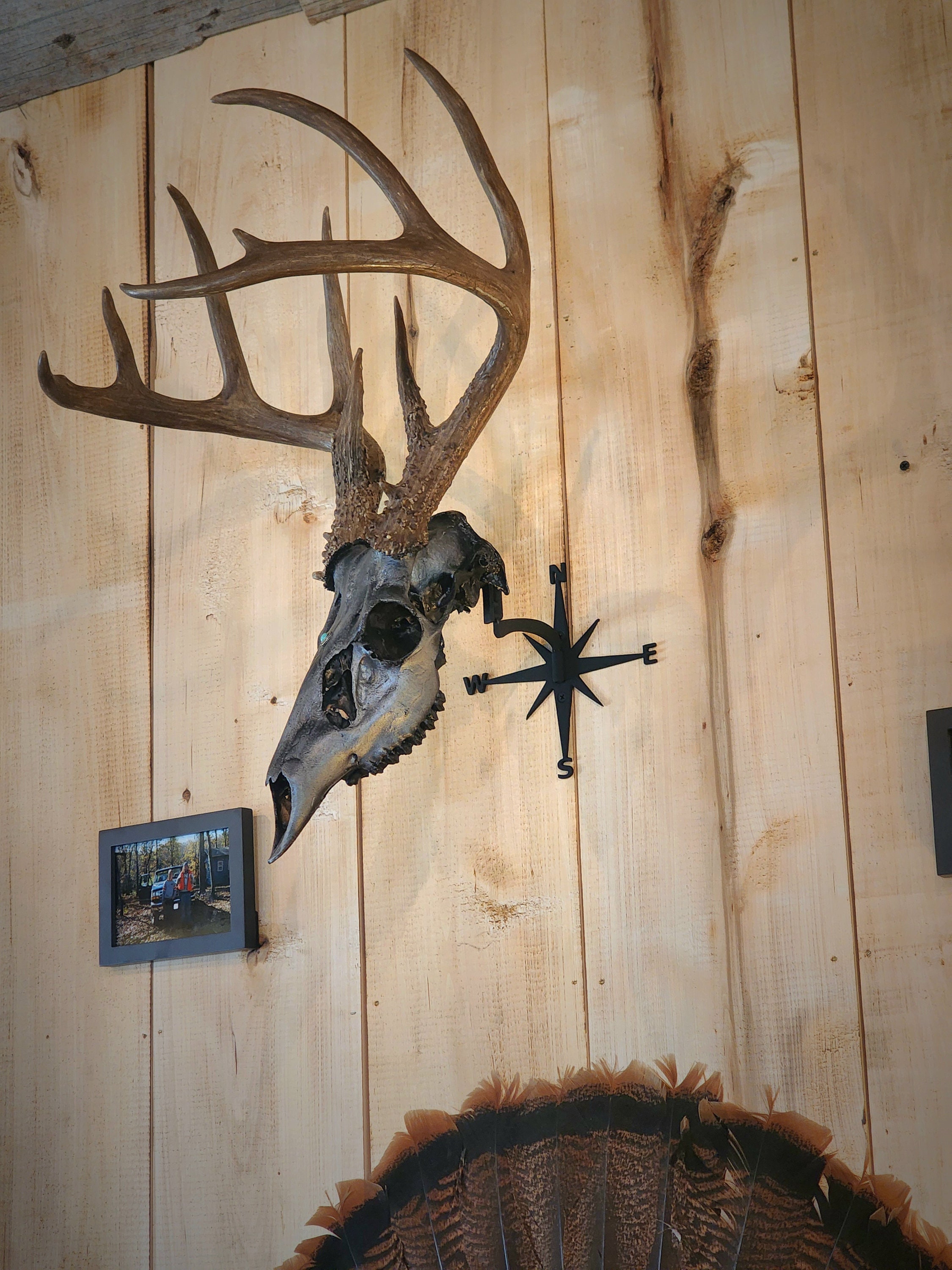 European Skull Mount Hanger (swivel) - Etsy