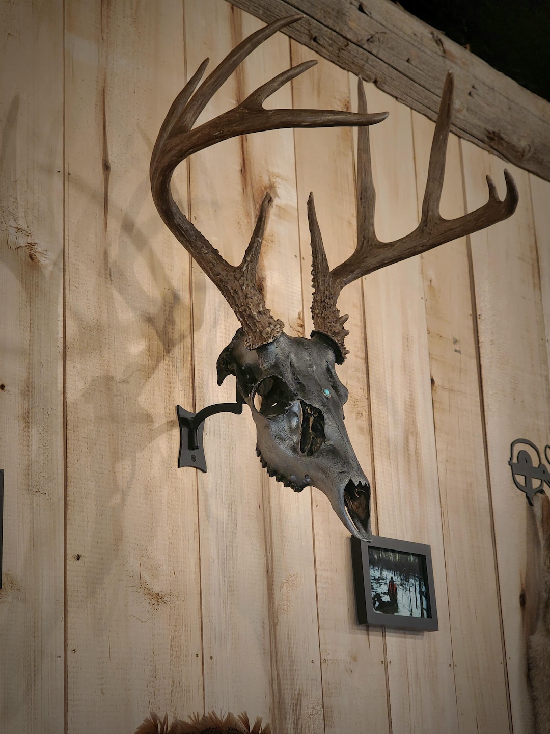 European Skull Mount Hanger (swivel) - Etsy