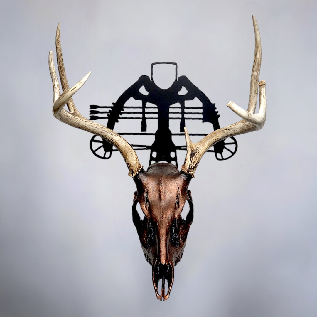 European Skull Mount Hanger - Etsy