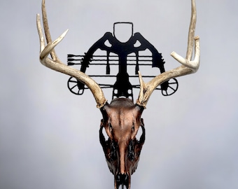 2 European Skull Mount Hanger Brackets KRENEK SKULL BRACKET Deer, Hogs ...