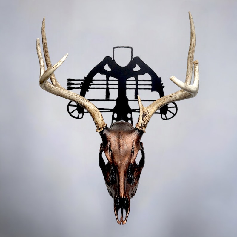 European Skull Mount Hanger - Etsy