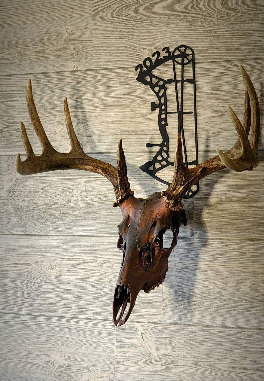 European Skull Mount Plaque - Etsy