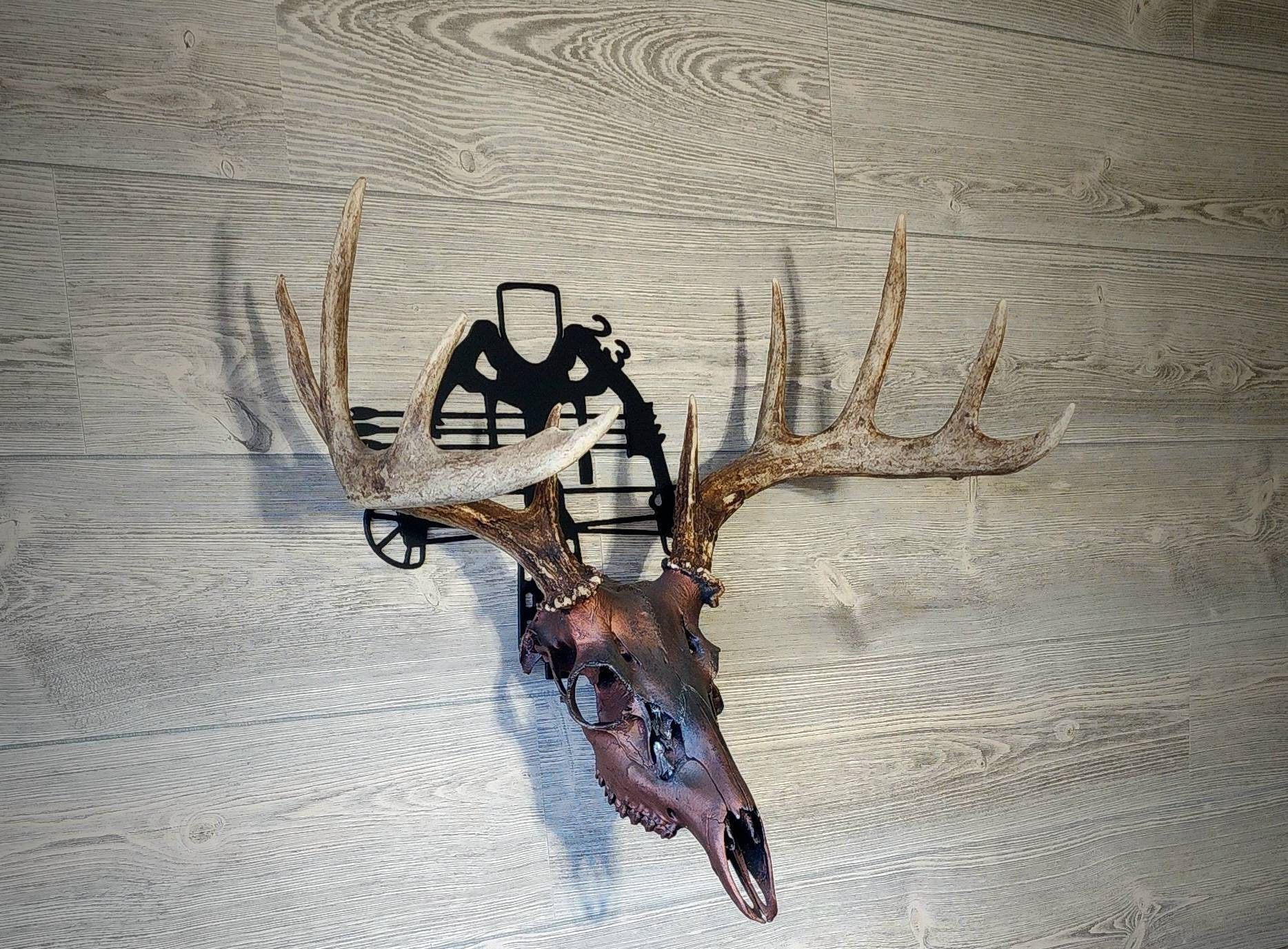 European Skull Mount Hanger - Etsy