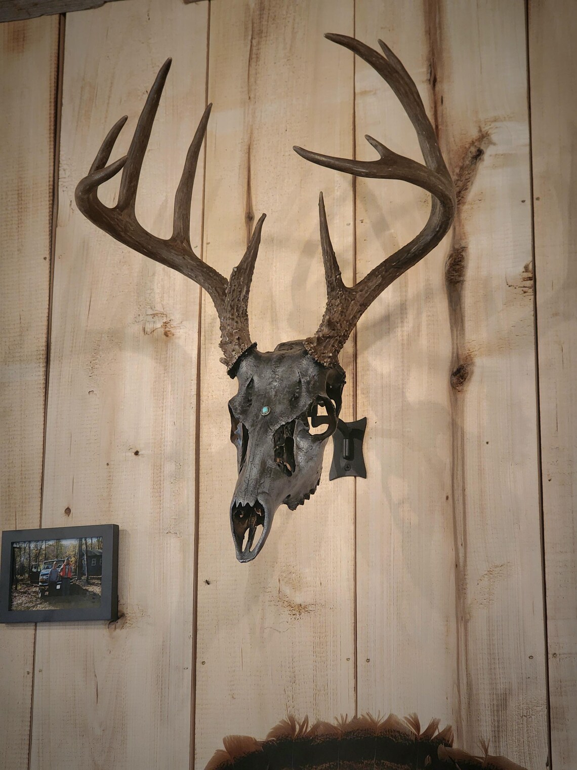 European Skull Mount Hanger (swivel) - Etsy