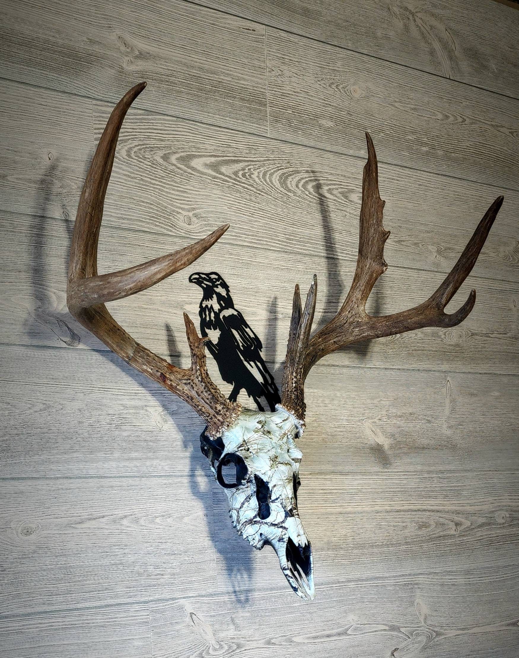 European Skull Mount Hanger/plaque - Etsy