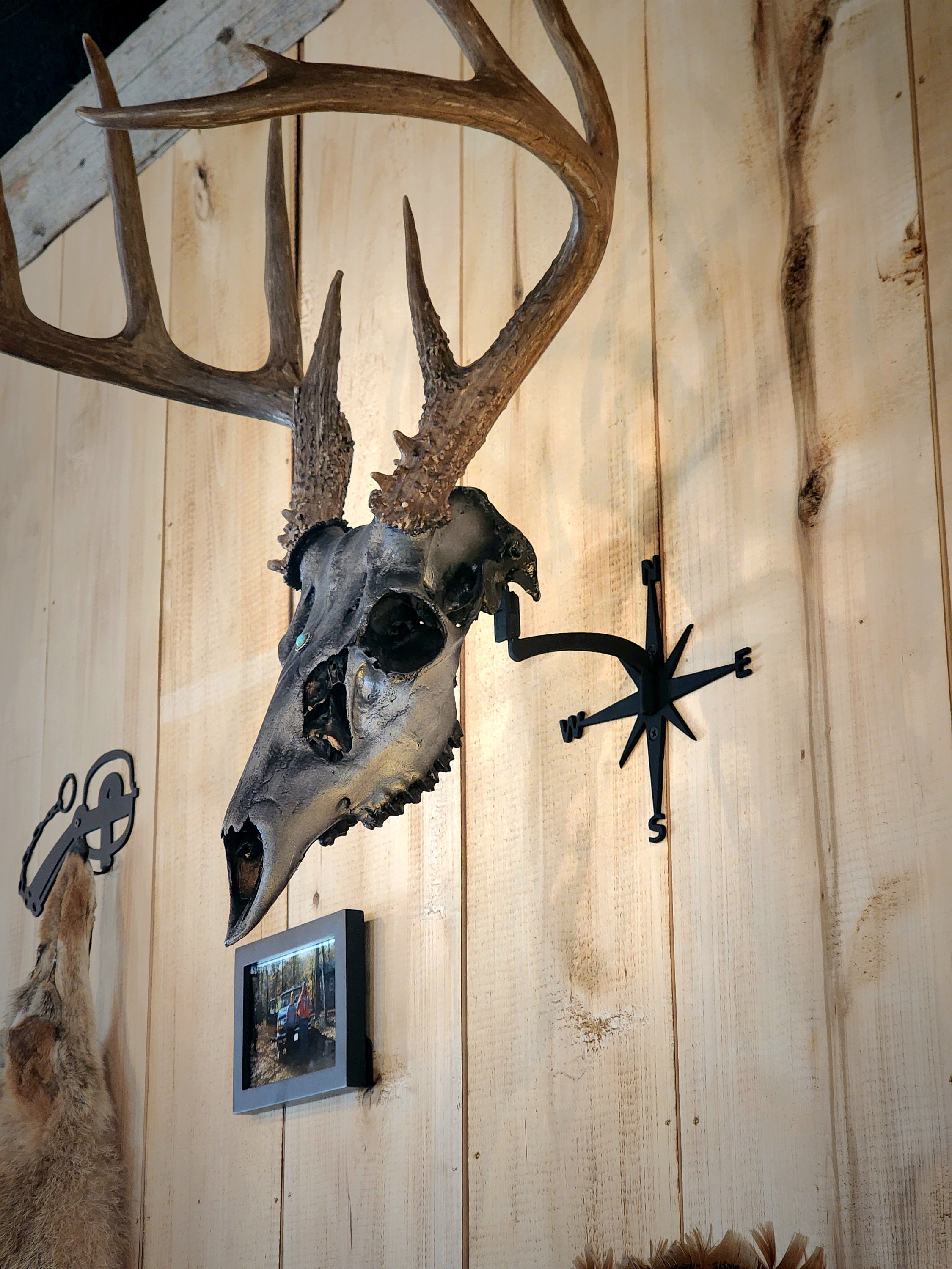 European Skull Mount Hanger (swivel) - Etsy