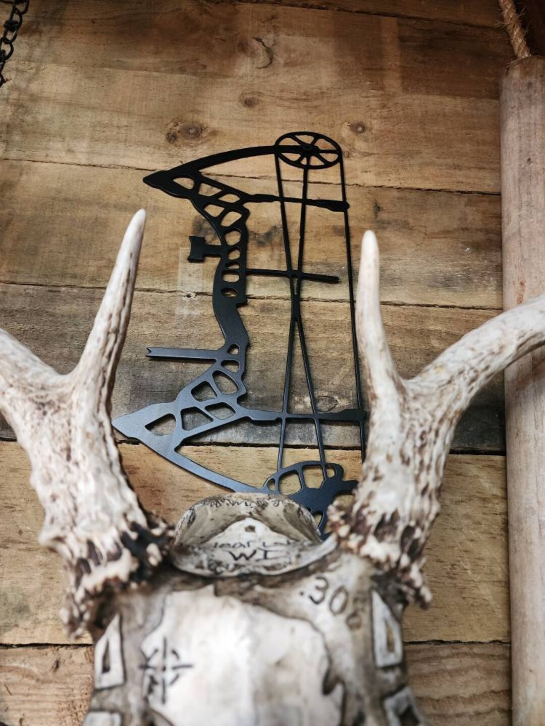 European Skull Mount Plaque - Etsy