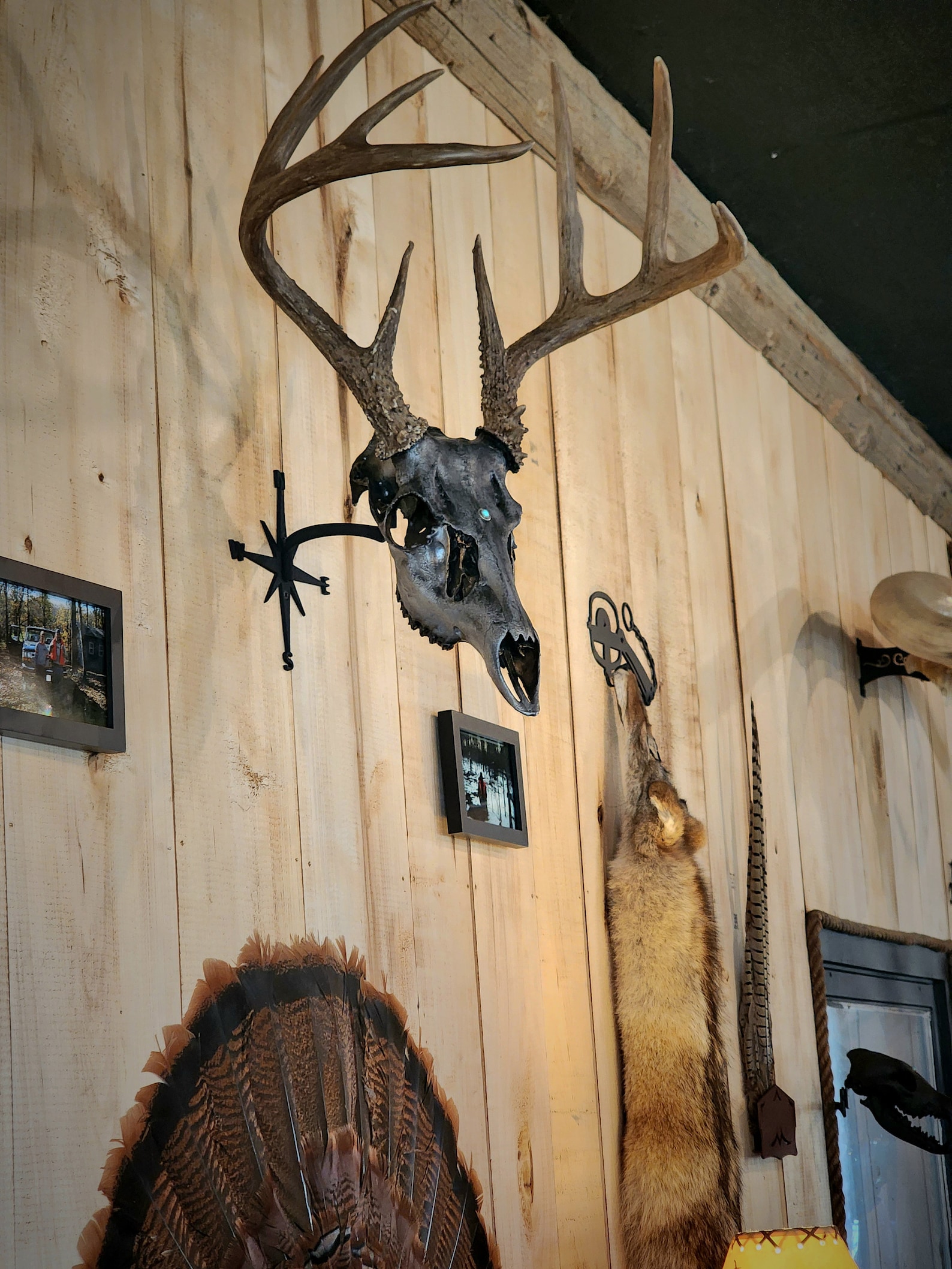 European Skull Mount Hanger (swivel) - Etsy