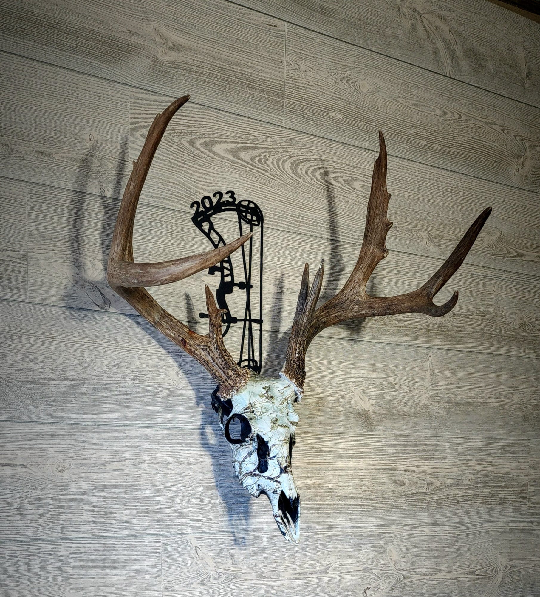 European Skull Mount Hanger/plaque - Etsy