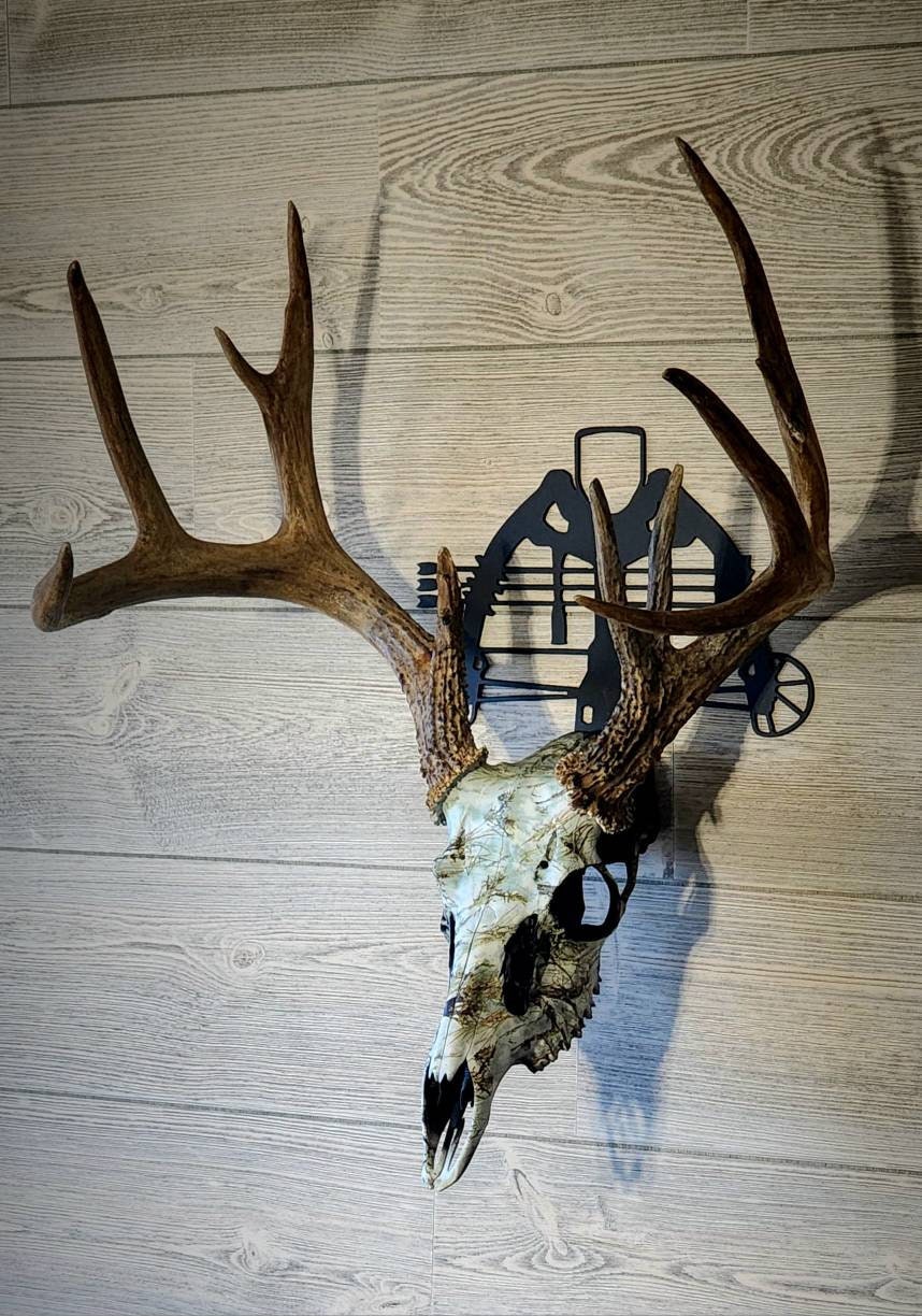 European Skull Mount Hanger - Etsy