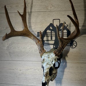 European Skull Mount Hanger - Etsy