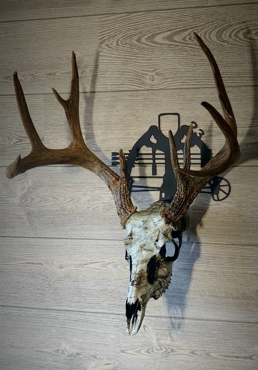 European Skull Mount Hanger - Etsy