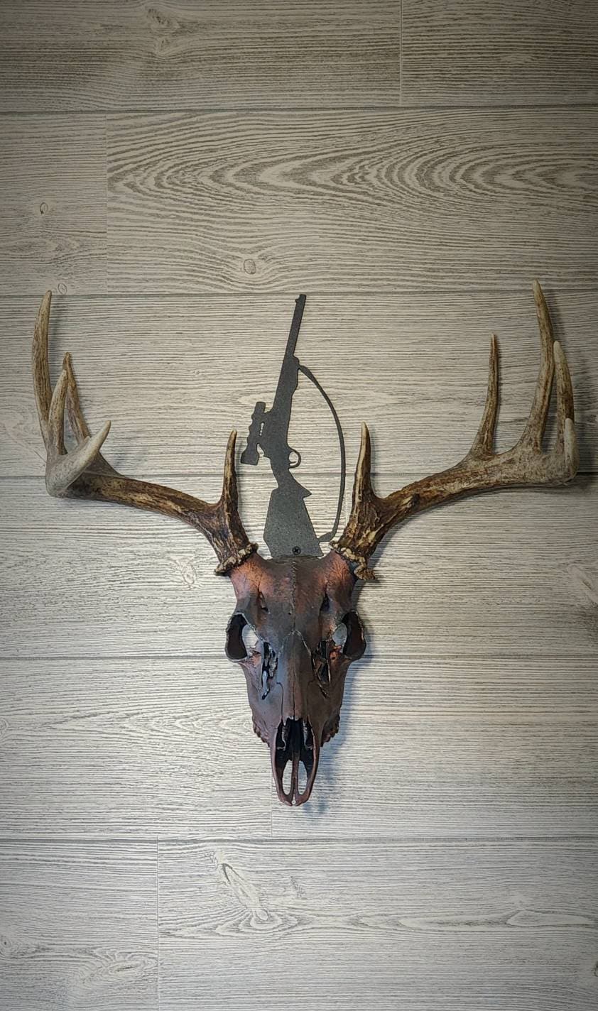 European Skull Mount Plaque - Etsy
