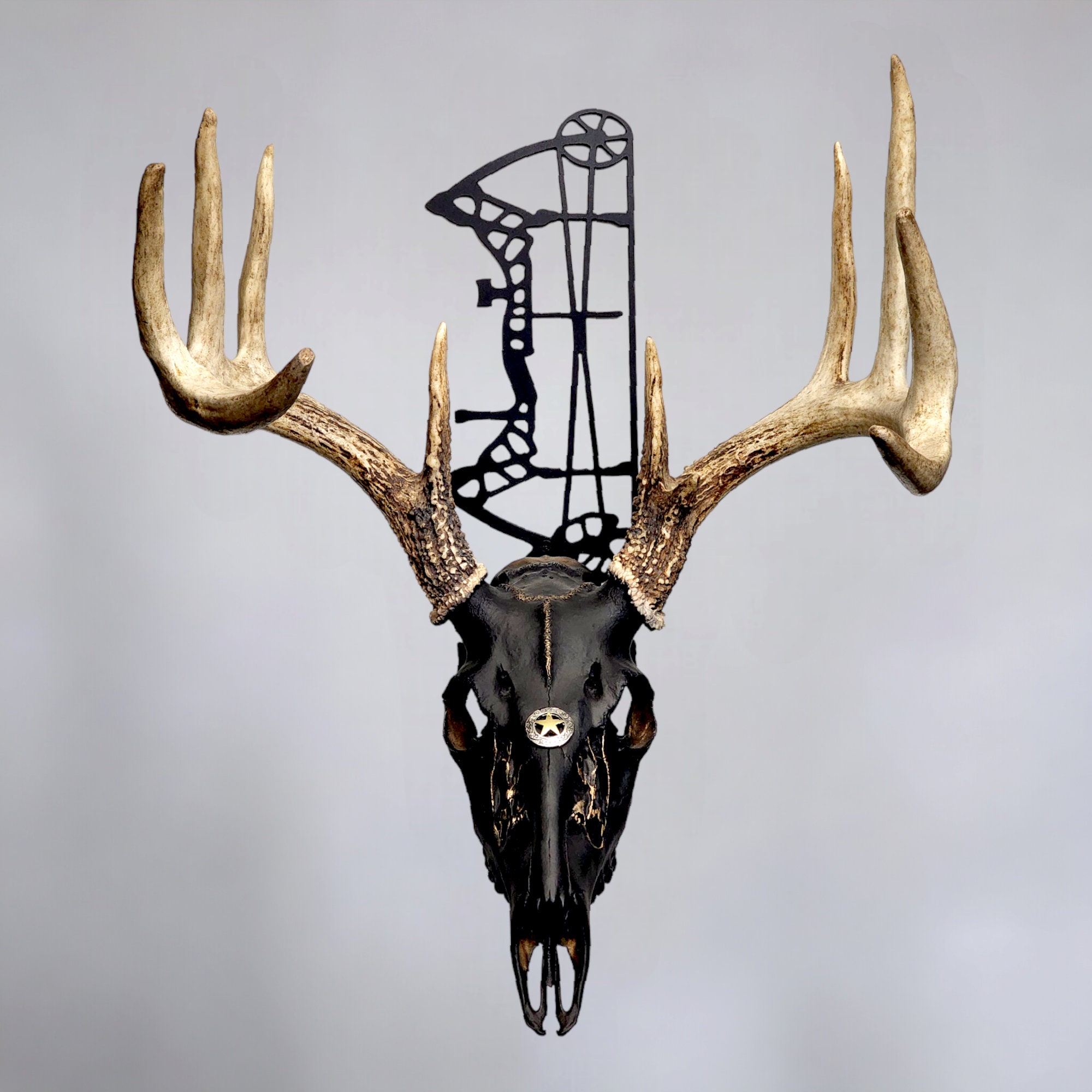 European Skull Mount Plaque - Etsy