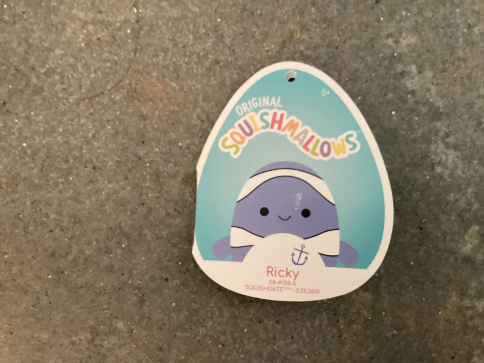 8inch Blue Ricky Squishmallow - Etsy